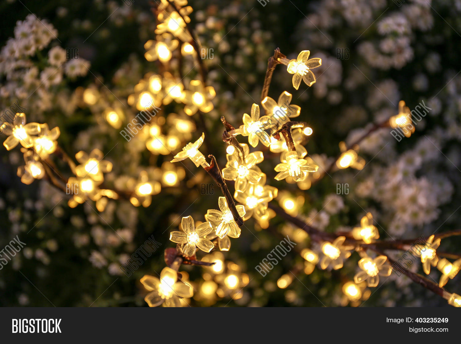 Shiny Golden Led Image & Photo (Free Trial) | Bigstock