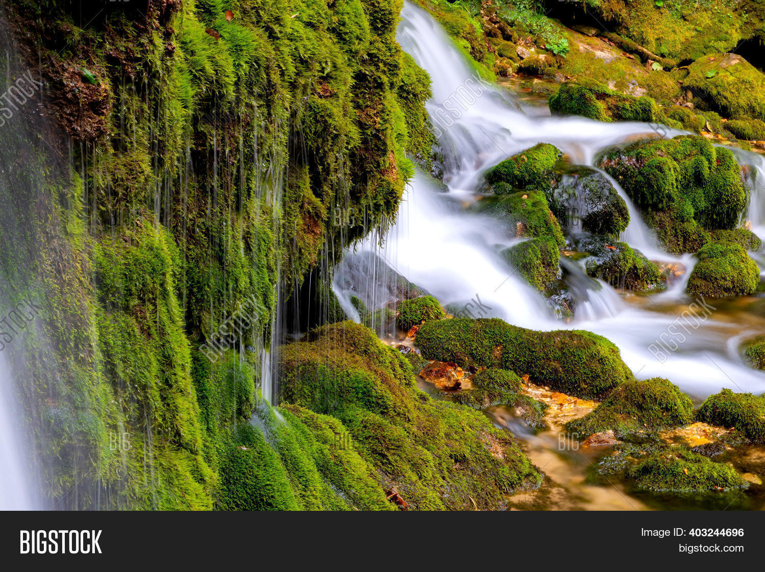 Ecology Nature. Source Image & Photo (Free Trial) | Bigstock