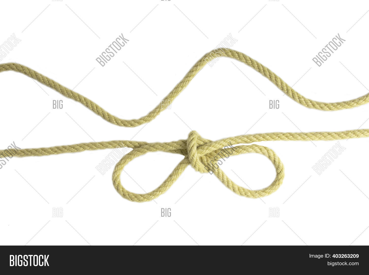 Closeup Node Knot Two Image & Photo (Free Trial) | Bigstock
