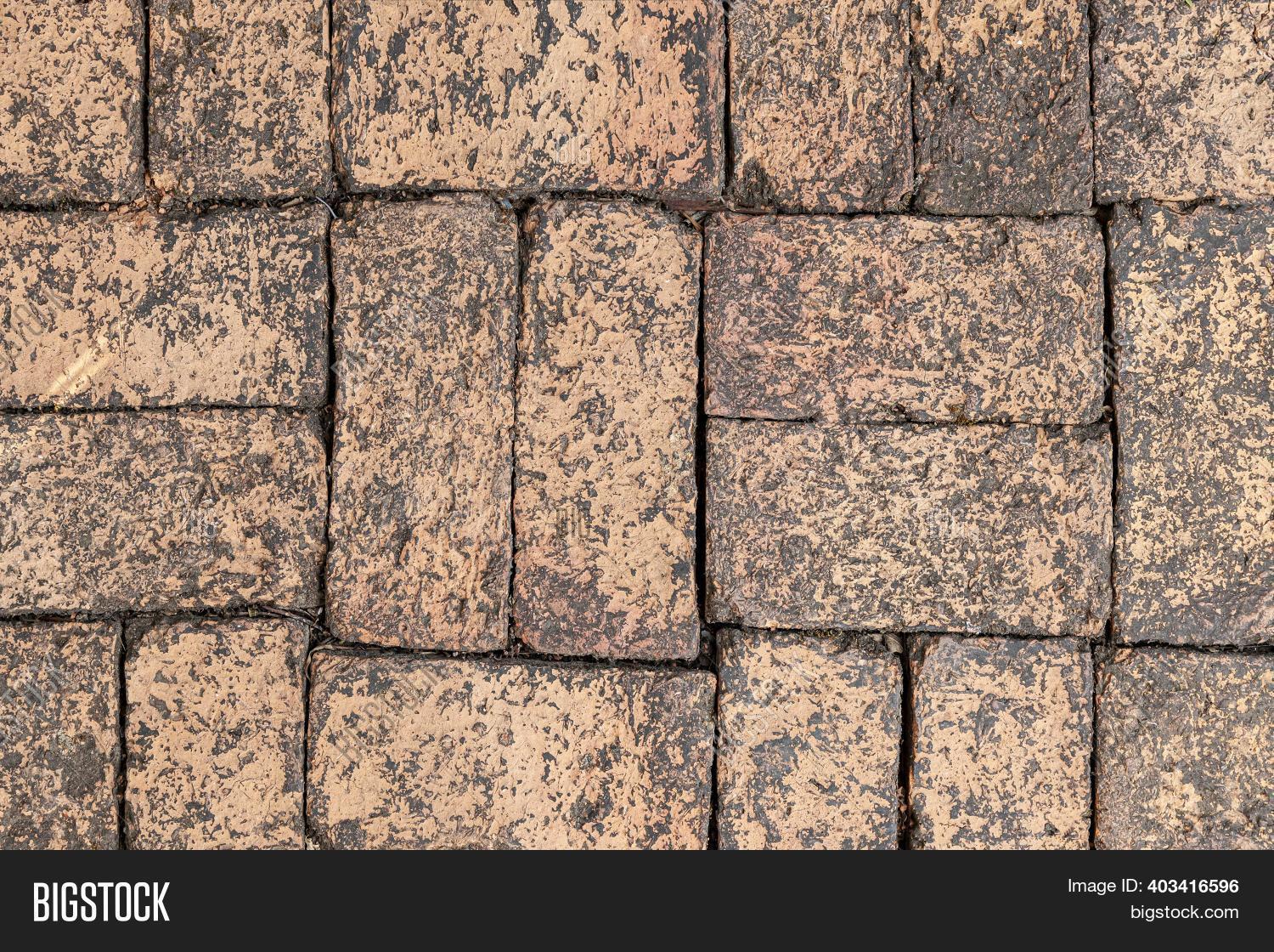 Red Terra Cotta Brick Image & Photo (Free Trial) | Bigstock