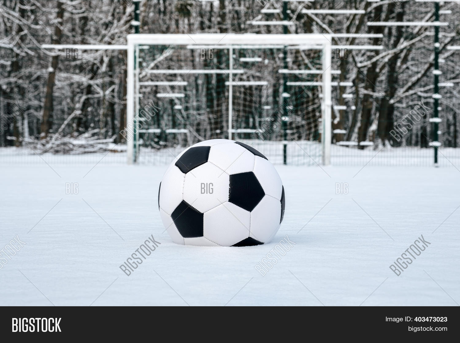 Soccer Ball In Snow