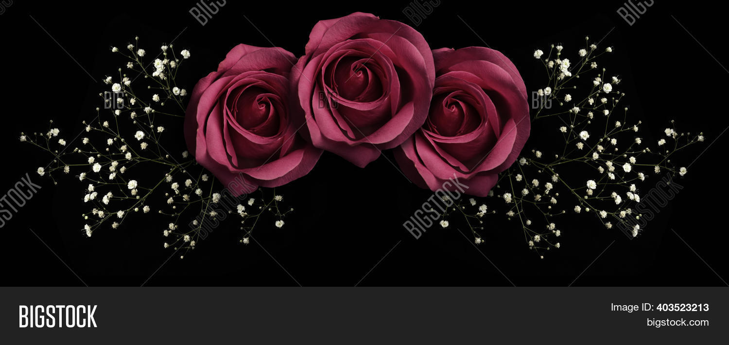 Floral Ornament Three Image & Photo (Free Trial) | Bigstock