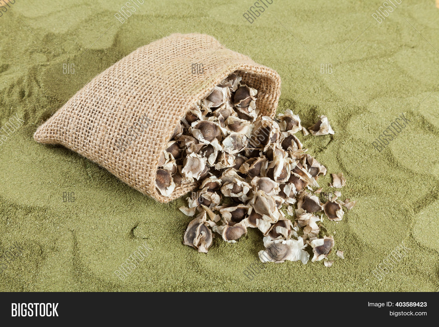 Sack Fique Organic Image & Photo (Free Trial) | Bigstock