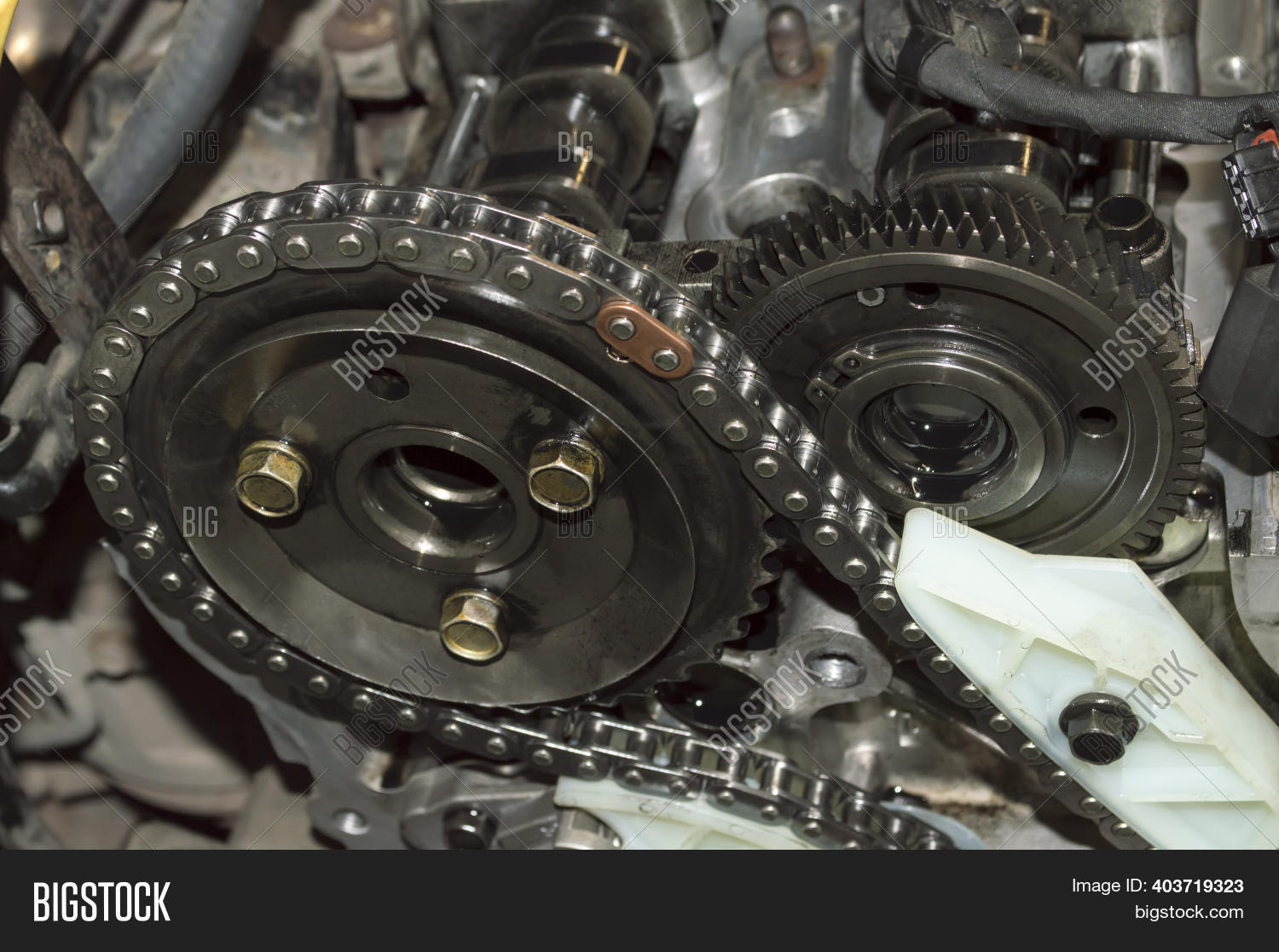 New Timing Chain Guide Image & Photo (Free Trial) | Bigstock