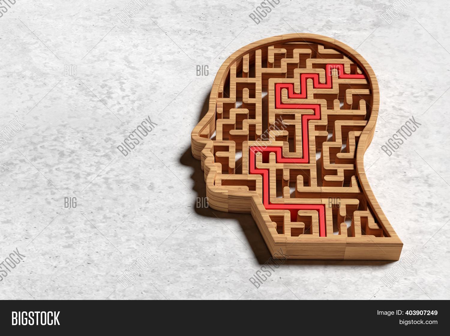 Human Head Shaped Maze Image & Photo (Free Trial) | Bigstock