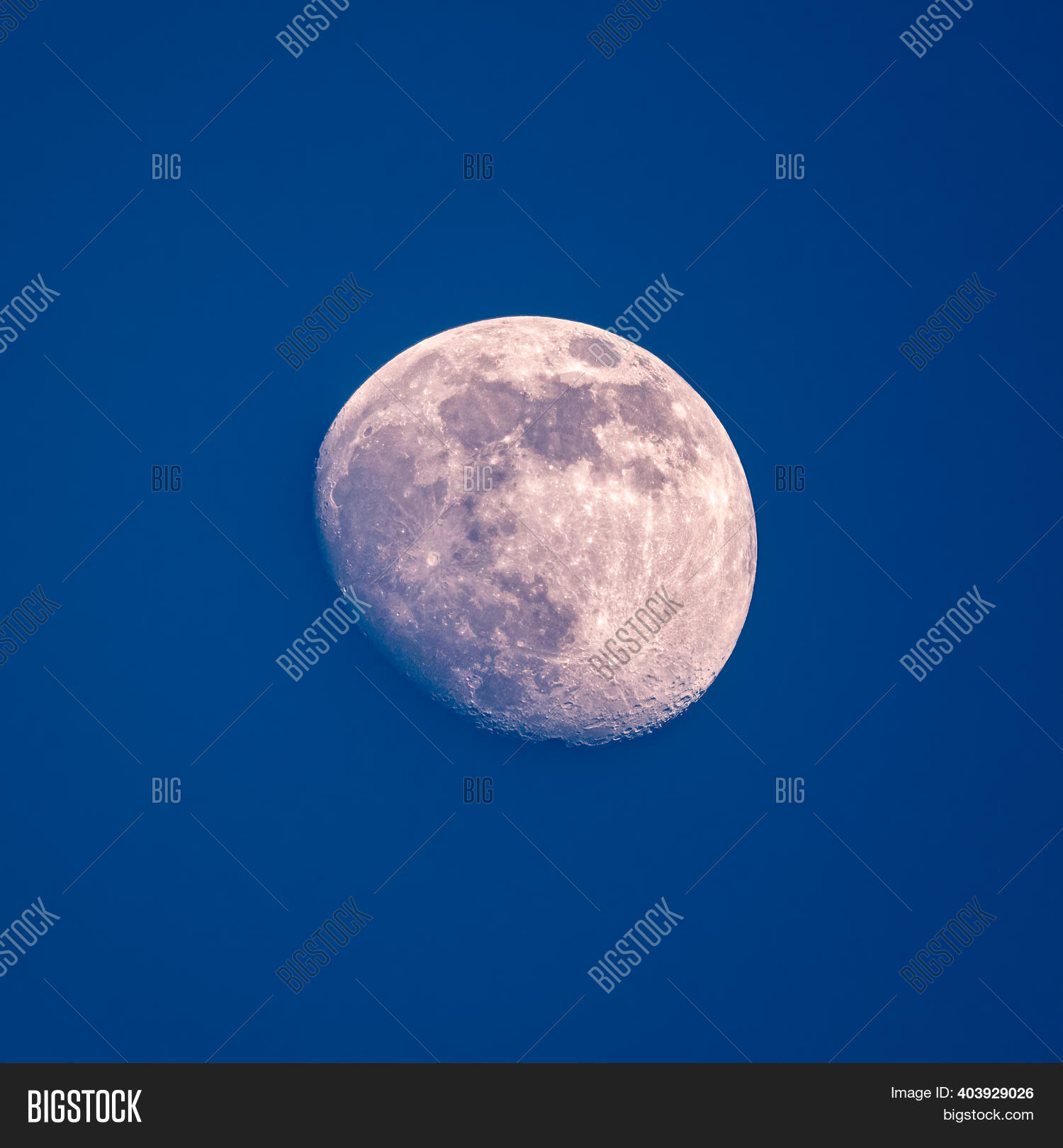 Detailed Image Half Image & Photo (Free Trial) | Bigstock