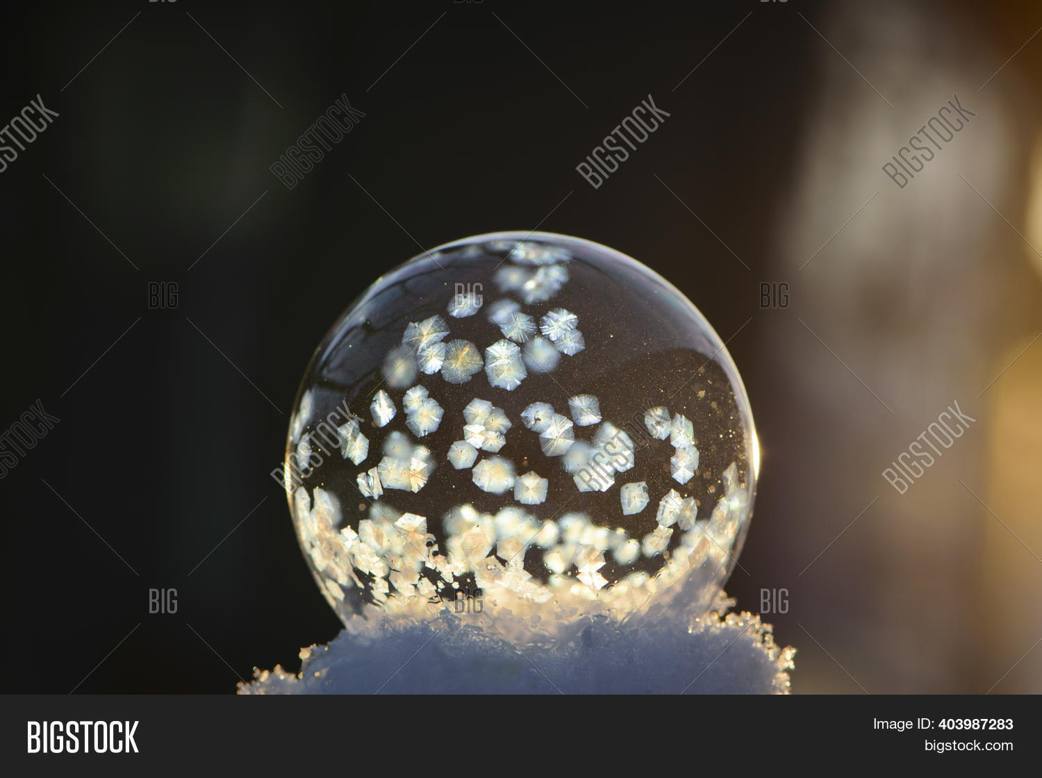 Frozen Bubble Snow Image & Photo (Free Trial) | Bigstock