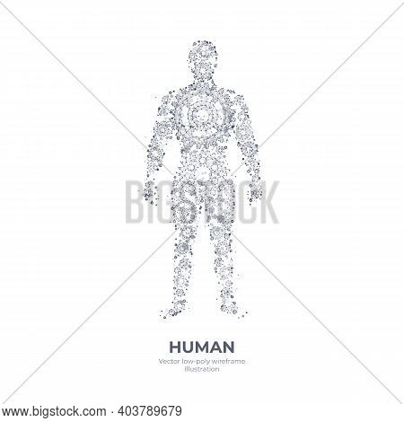 Digital 3d Human Body Vector & Photo (Free Trial) | Bigstock