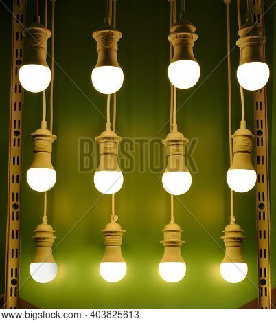 Lighting And Energy Saving Light Bulbs. Green Background. Light-saving ...