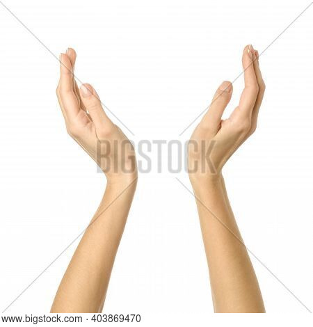 Womans Hand Reaching Up