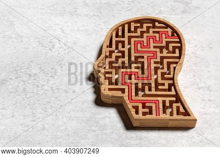Human Head Shaped Maze Image & Photo (Free Trial) | Bigstock