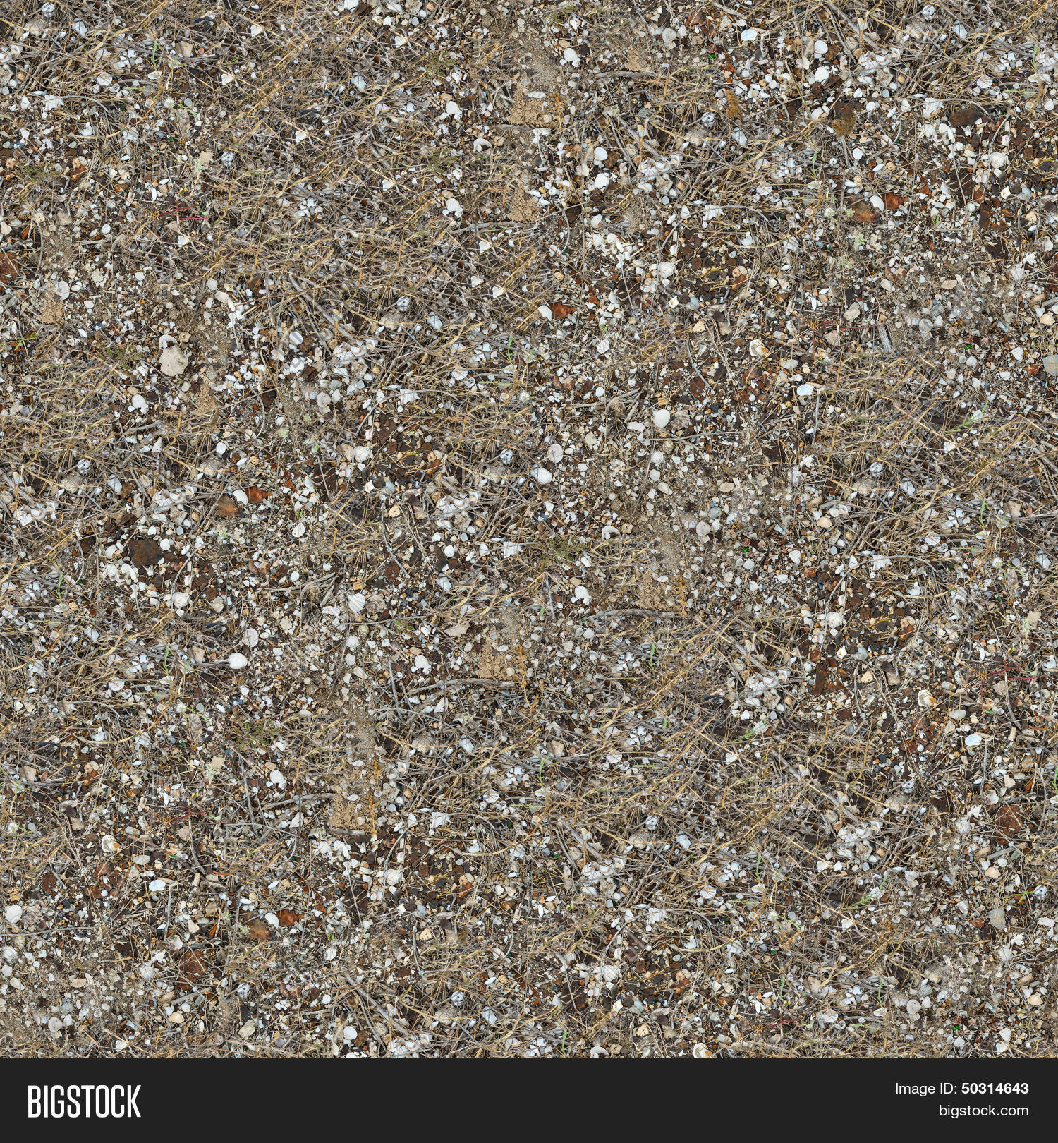 Seamless Texture Soil Image & Photo (Free Trial) | Bigstock