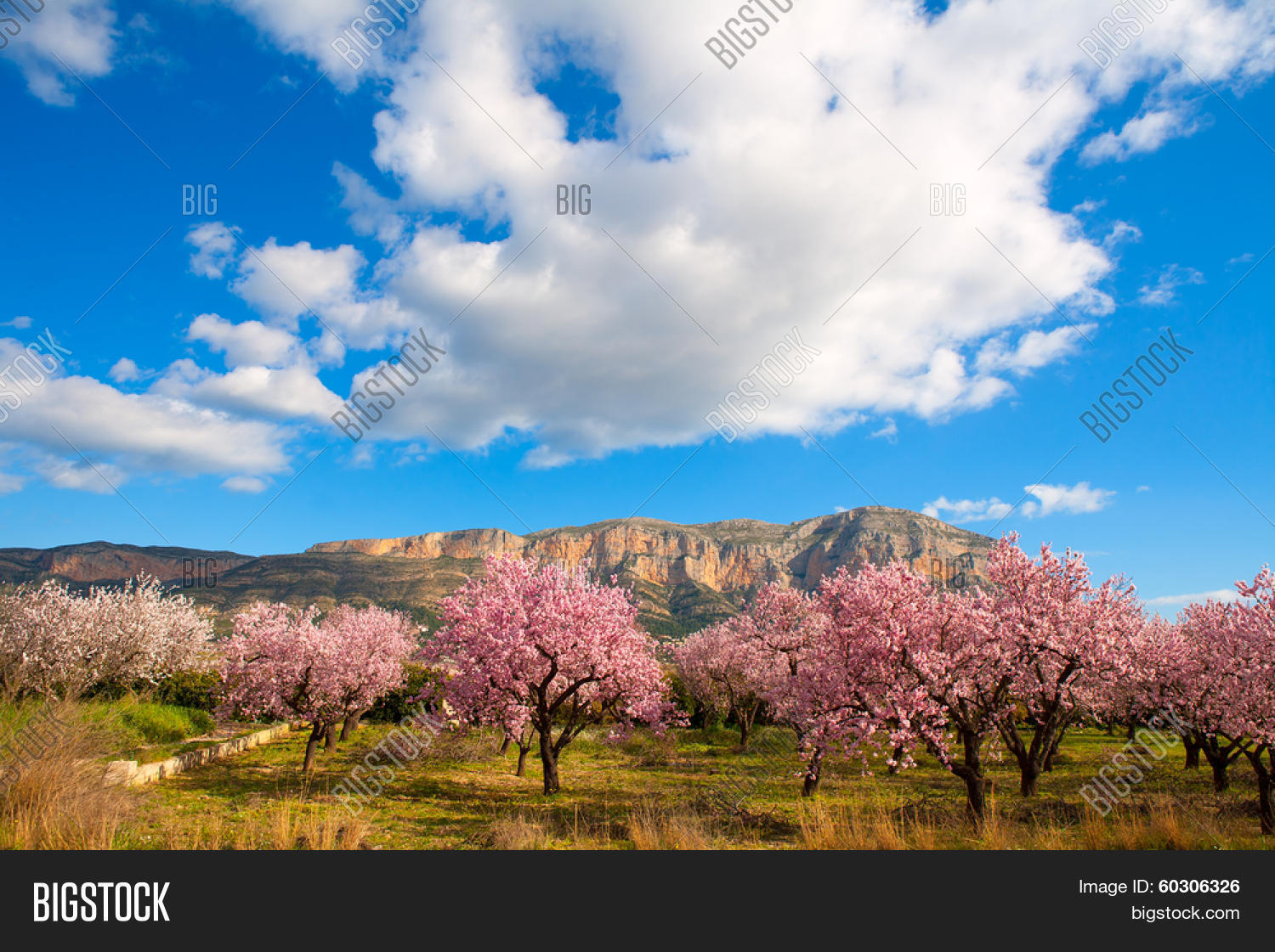 Mongo Denia Javea Image & Photo (Free Trial) | Bigstock