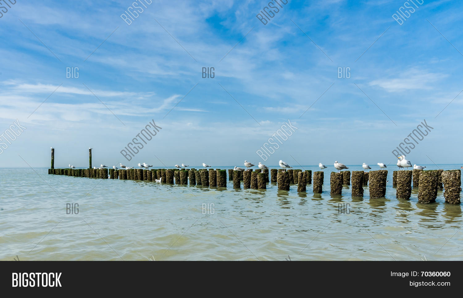 Timber Groynes On Image & Photo (Free Trial) | Bigstock