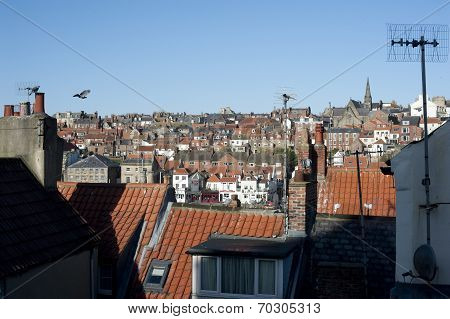 View Over Rooftops Image & Photo (Free Trial) | Bigstock