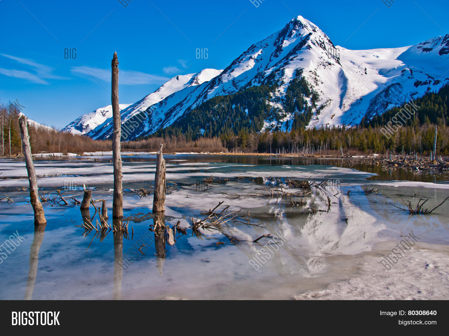 Partially Frozen Lake Image & Photo (Free Trial) | Bigstock