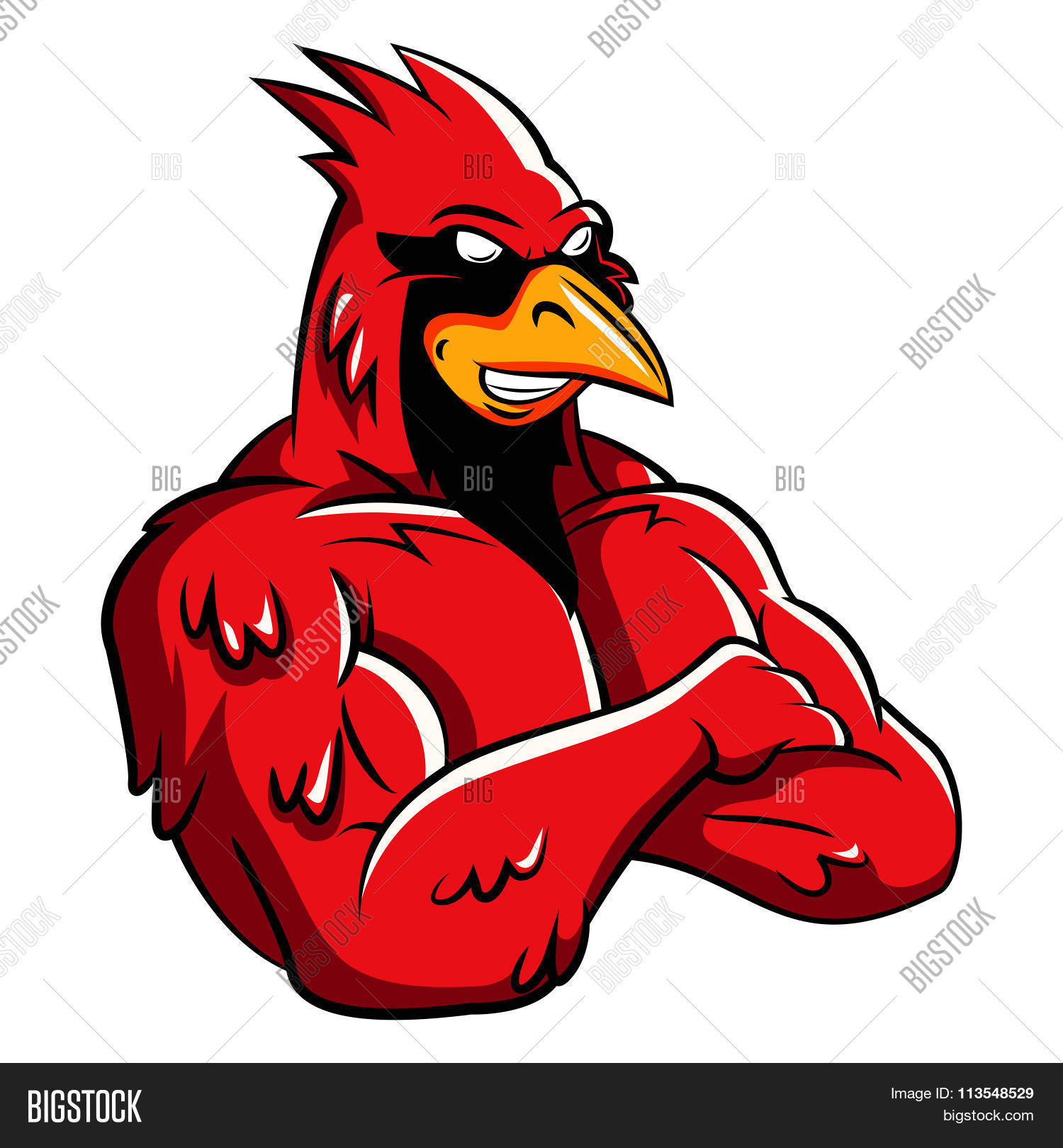 Cardinal Bird Mascot Vector & Photo (Free Trial) | Bigstock