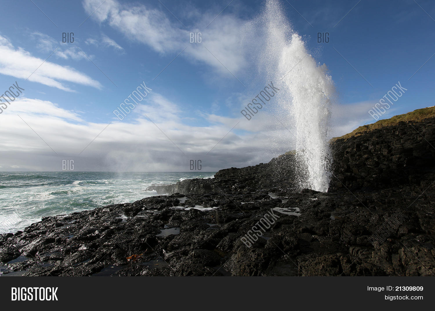 Blowhole Action Image & Photo (Free Trial) | Bigstock