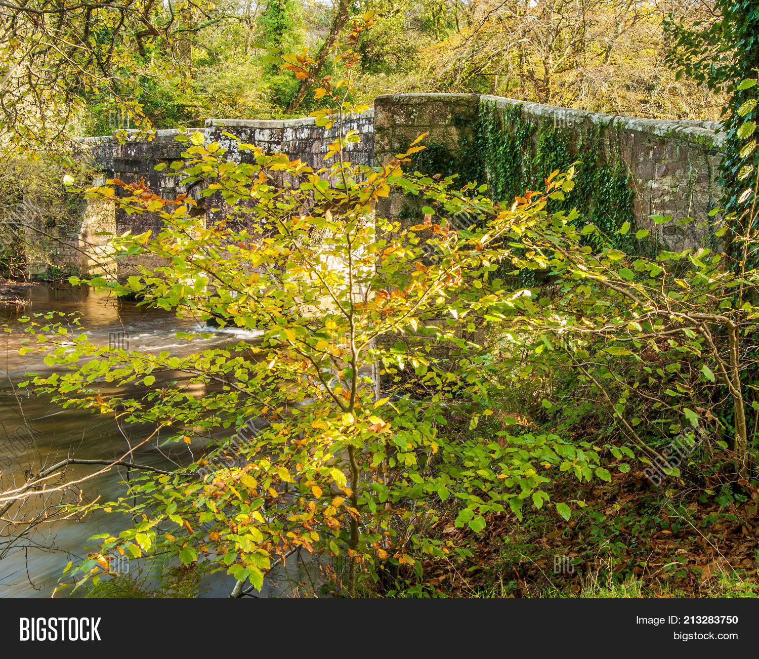 Respryn Bridge Five Image & Photo (Free Trial) | Bigstock
