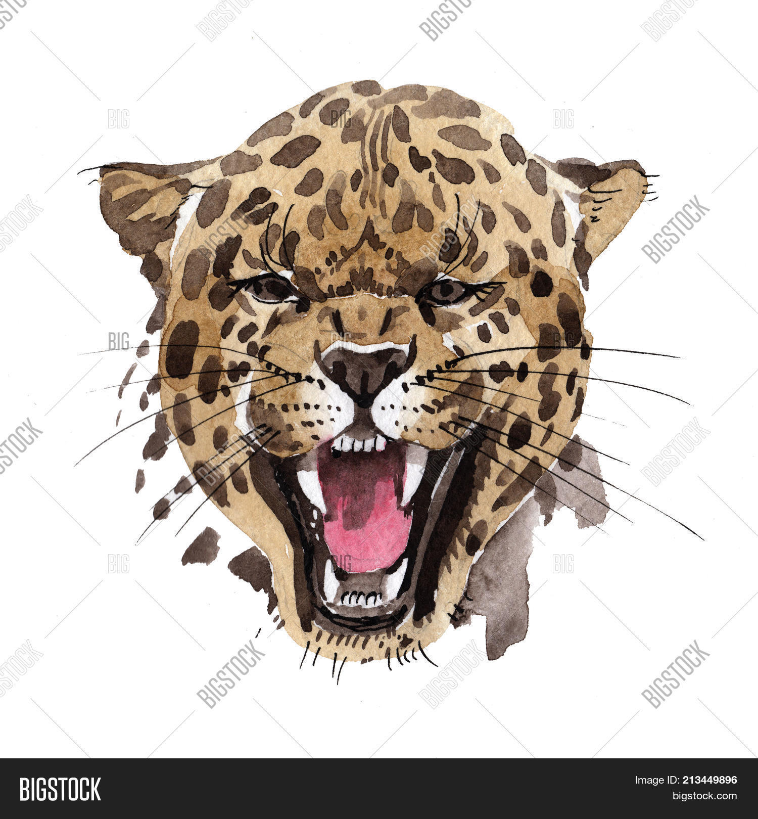 Exotic Leopard Wild Image & Photo (Free Trial) | Bigstock