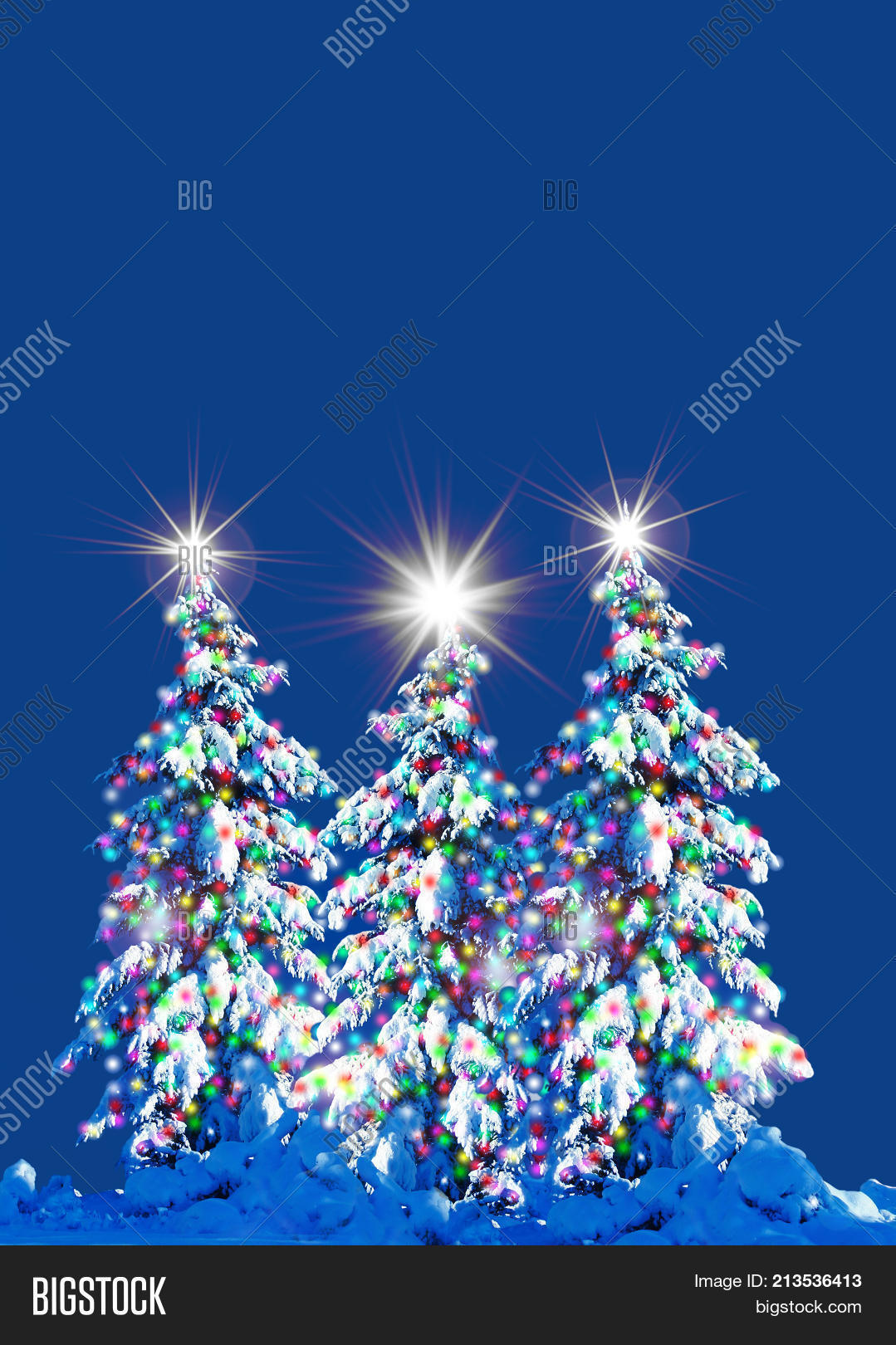 Snow Covered Christmas Image & Photo (Free Trial) | Bigstock