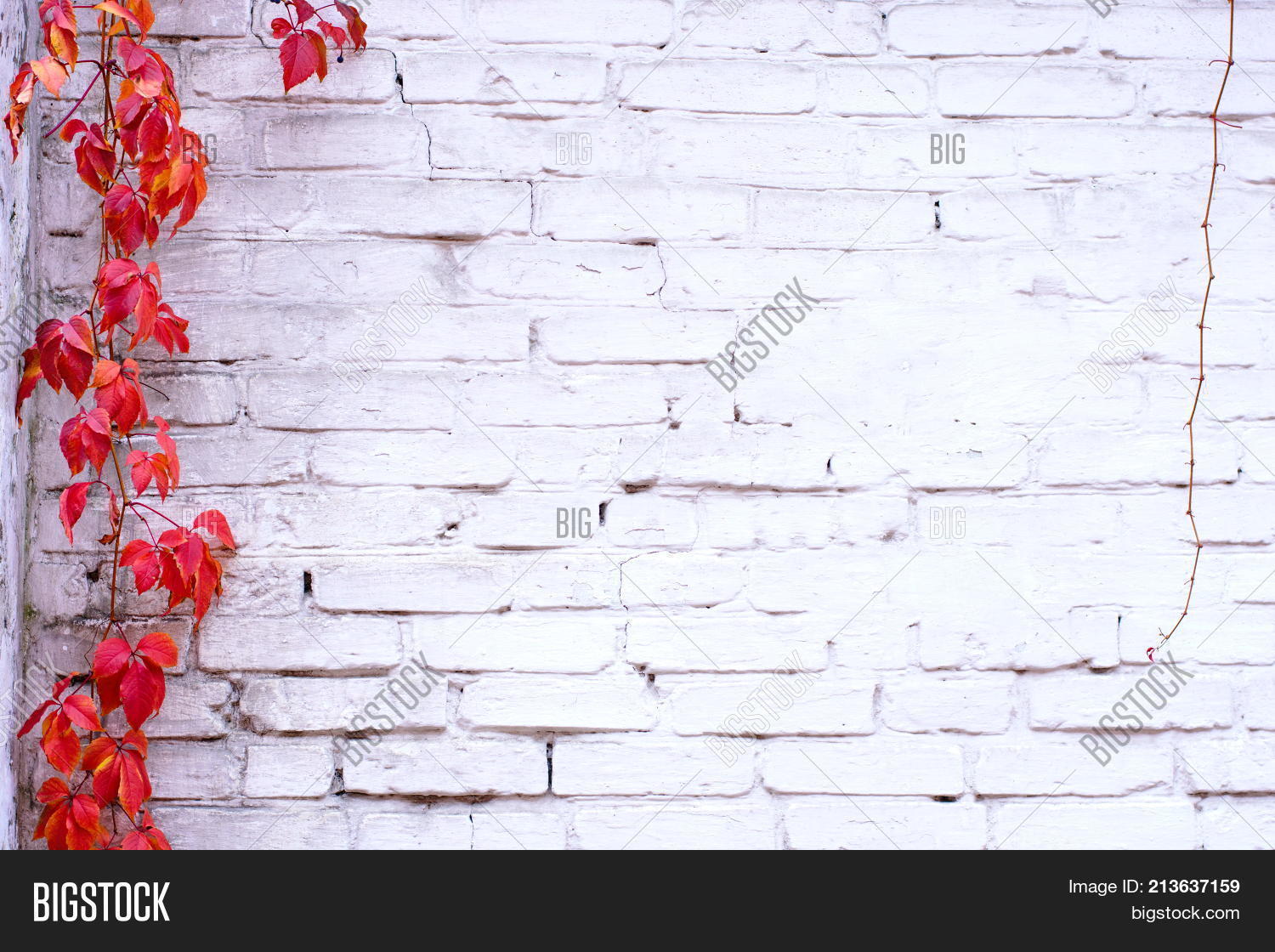 White Painted Brick Wall Texture