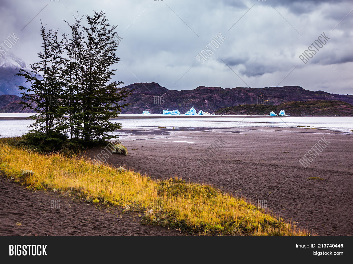Lago Gray Glacial Lake Image & Photo (Free Trial) | Bigstock