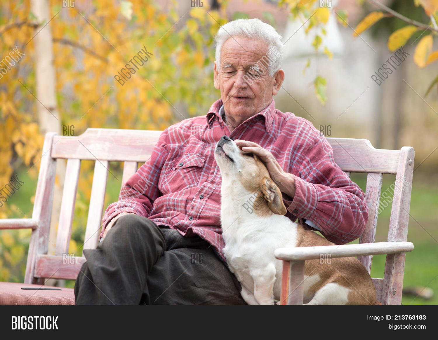 Old Man Dog On Bench Image & Photo (Free Trial) | Bigstock