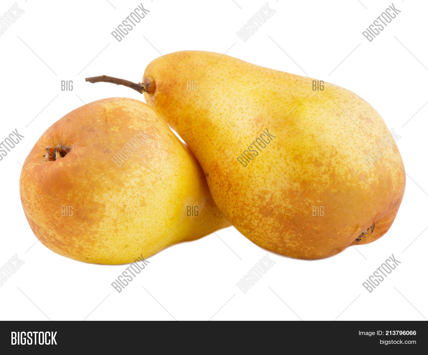 Two Pears Yellow, Image & Photo (Free Trial) | Bigstock