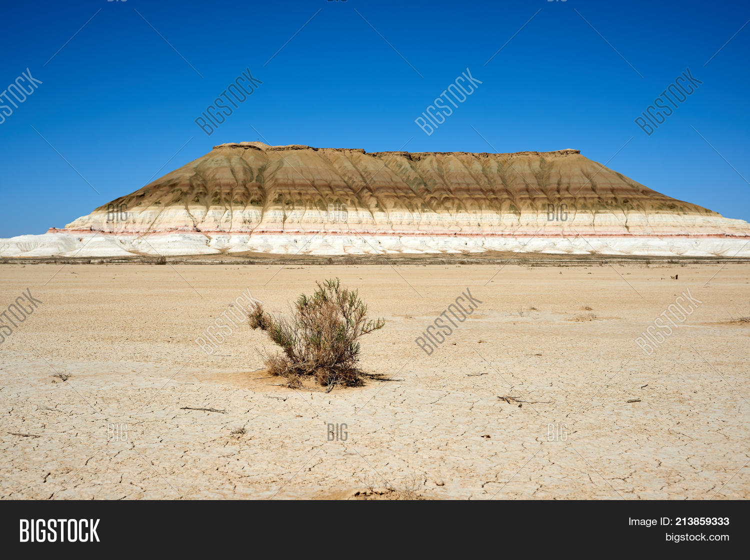 On Ustyurt Plateau. Image & Photo (Free Trial) | Bigstock