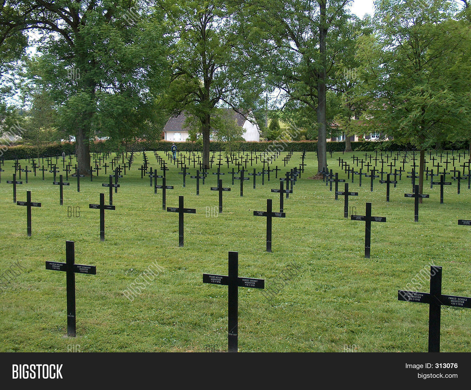 Wo1 German Image & Photo (Free Trial) | Bigstock