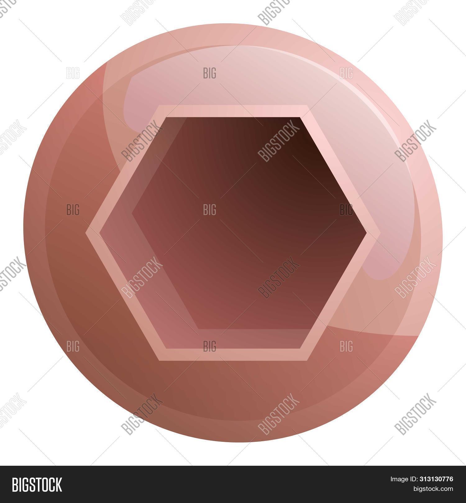 Bronze Torx Icon. Image & Photo (Free Trial) | Bigstock