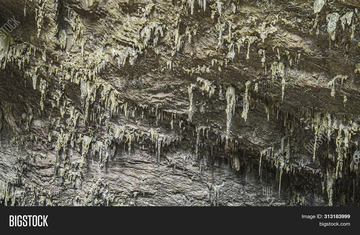 Stalactites On Ceiling Image & Photo (Free Trial) | Bigstock