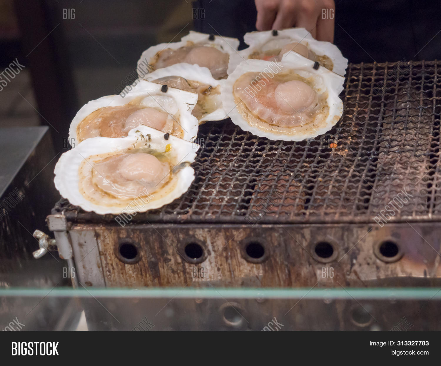 Many Large Scallops Image & Photo (Free Trial) | Bigstock