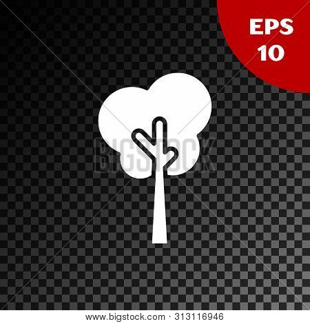 White Tree Icon Vector & Photo (Free Trial) | Bigstock