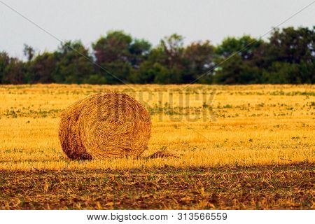 Rolled Haystack On Image & Photo (Free Trial) | Bigstock