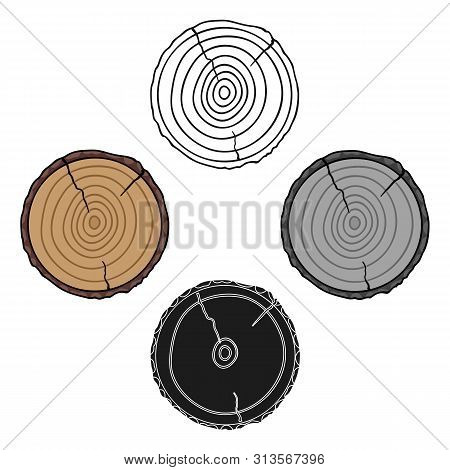 Cross Section Icon Image & Photo (Free Trial) | Bigstock