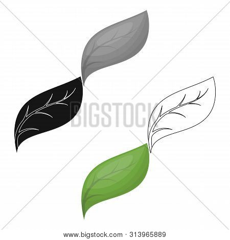 Eco Leaf Icon Outline Image & Photo (Free Trial) | Bigstock