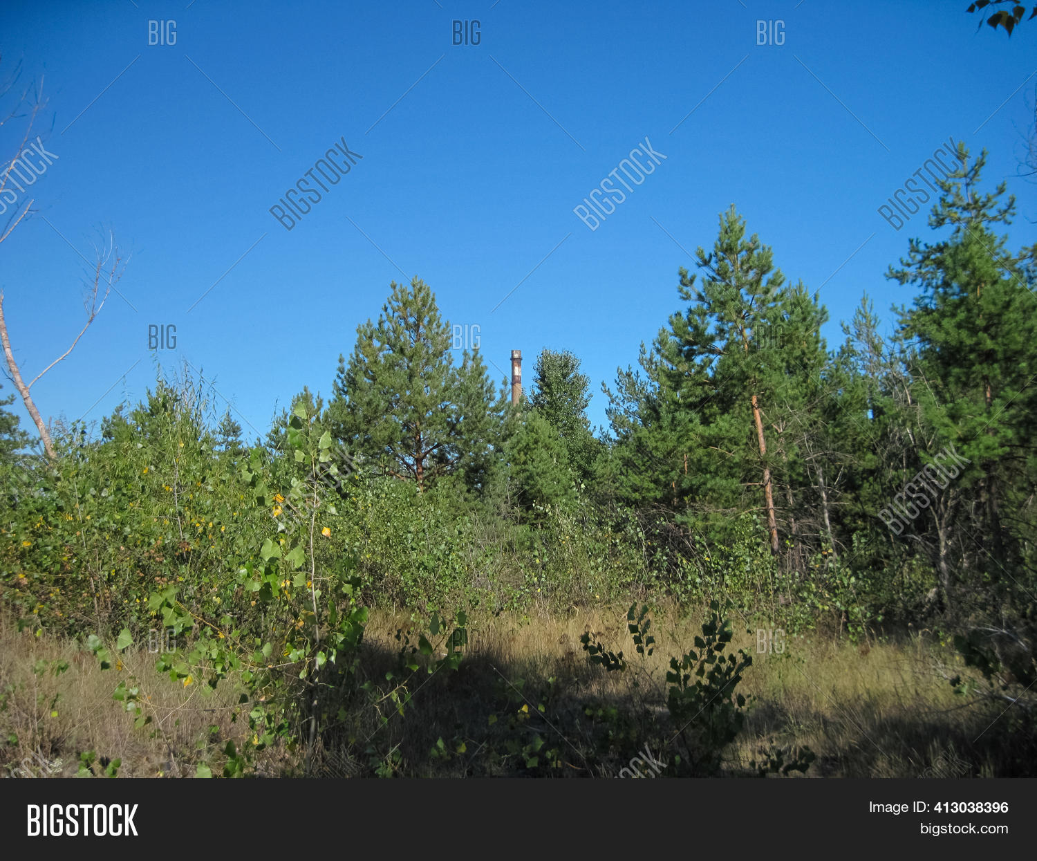 End Old Pipe Plant Image & Photo (Free Trial) | Bigstock