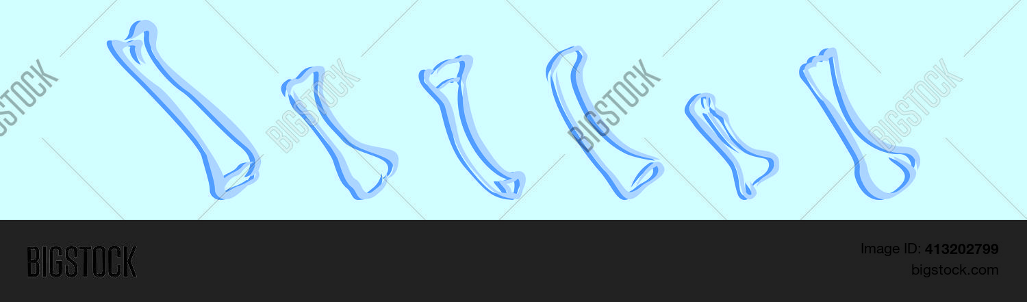 Set Chicken Bone Vector & Photo (Free Trial) | Bigstock