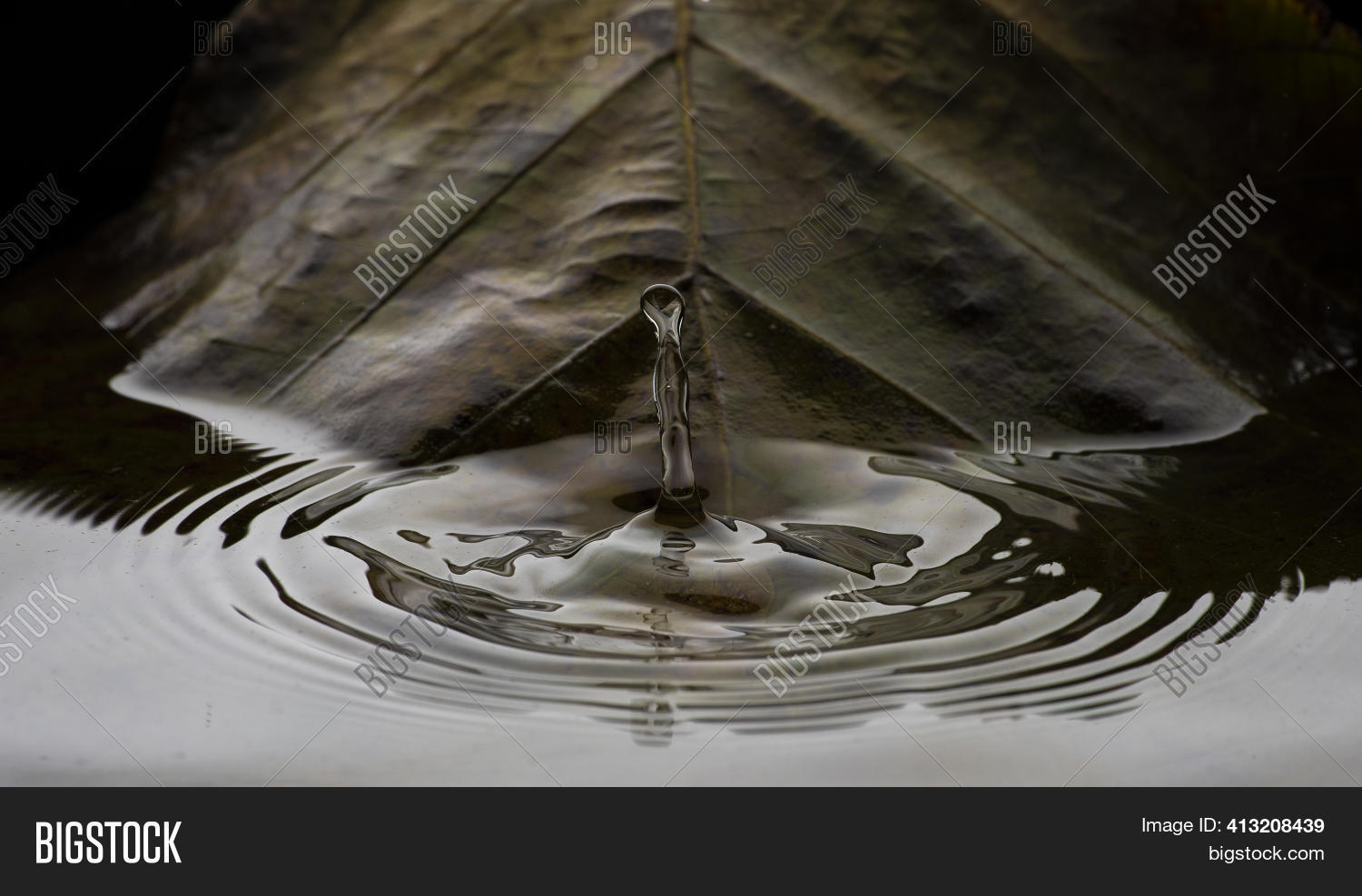 Rain Drops Falling Image & Photo (Free Trial) | Bigstock