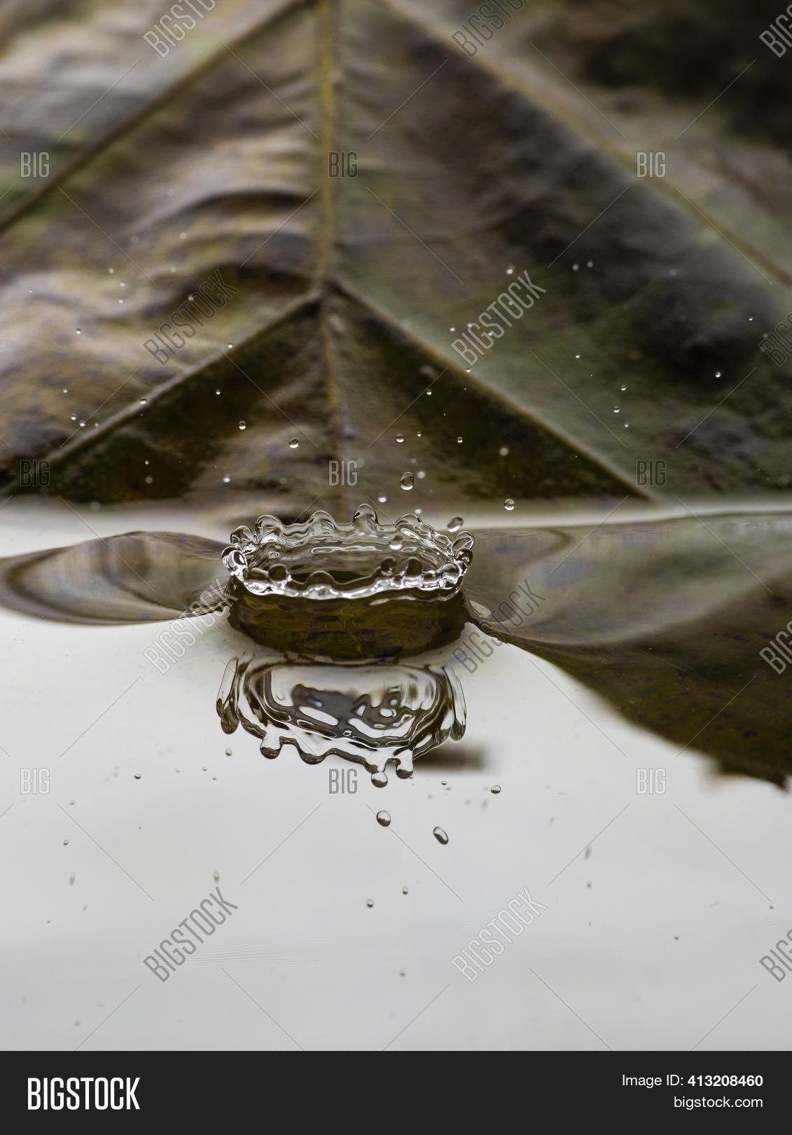 Rain Drops Falling Image & Photo (Free Trial) | Bigstock