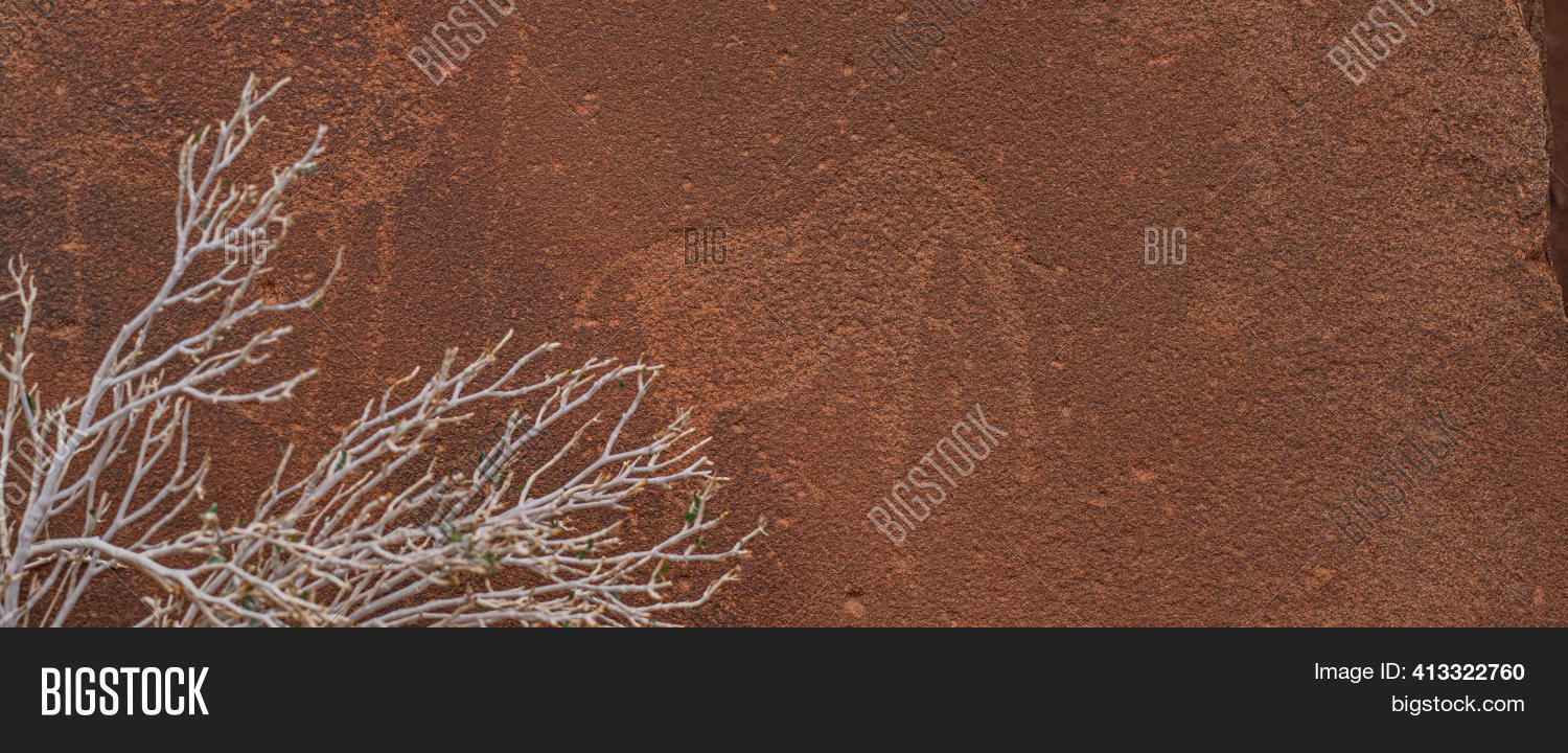 Prehistoric Bushman Image & Photo (Free Trial) | Bigstock