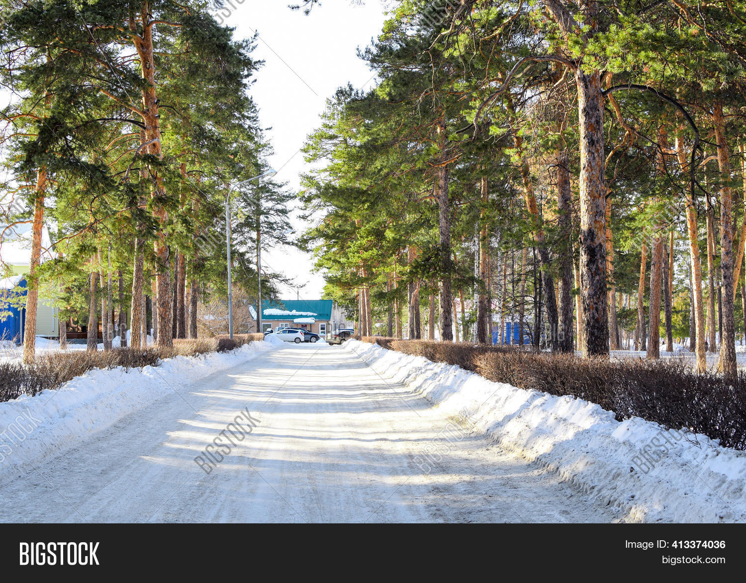 Wide Winter Road Park Image & Photo (Free Trial) | Bigstock