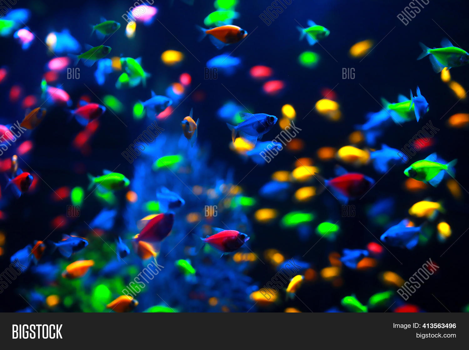 Group Colorful Image & Photo (Free Trial) | Bigstock