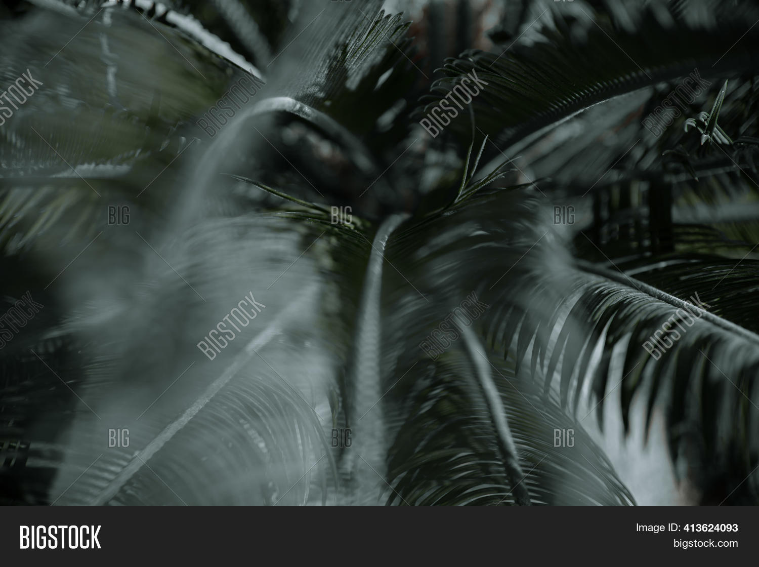 Tropical Branches Palm Image & Photo (Free Trial) | Bigstock