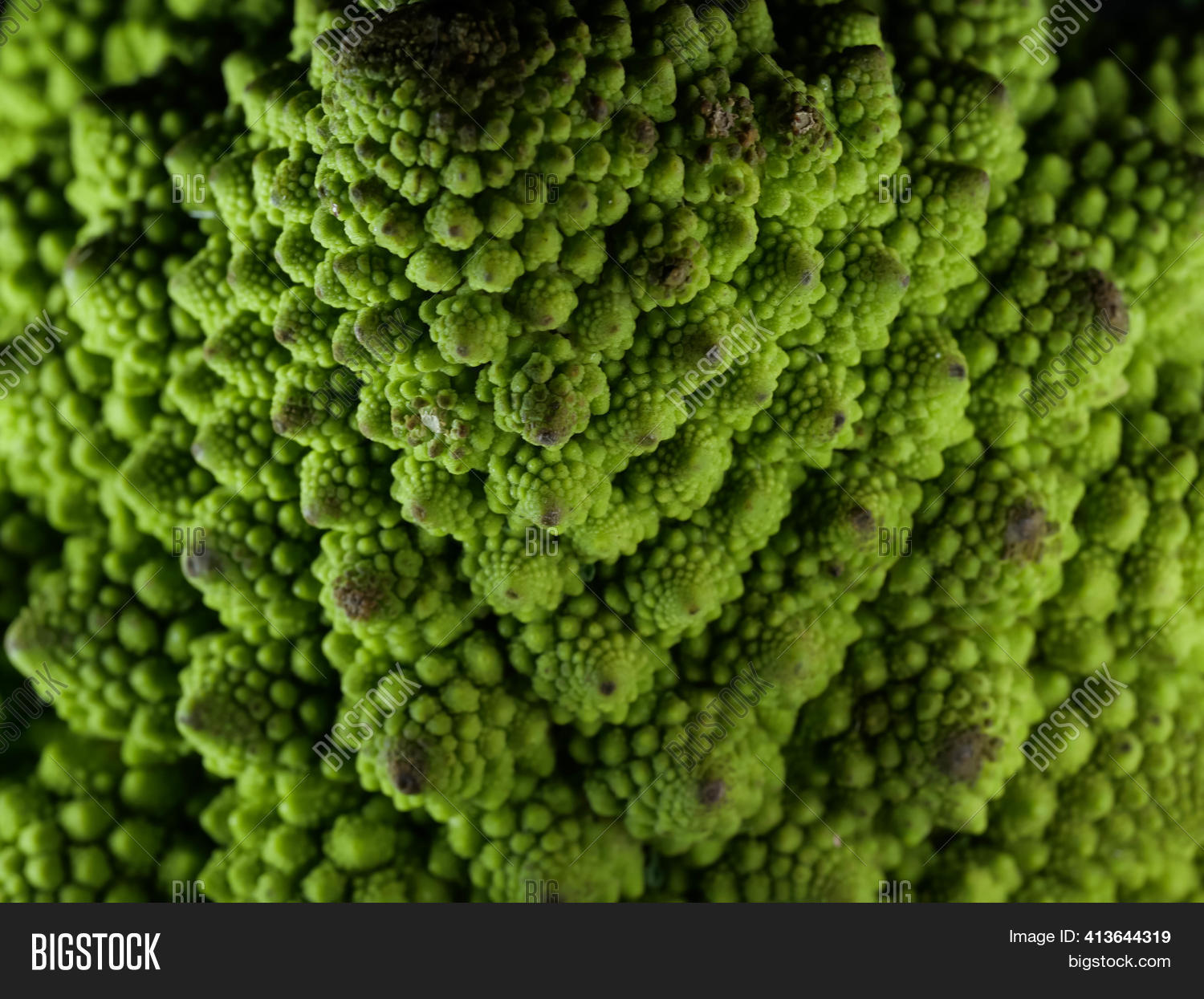Romanesco Broccoli Image & Photo (Free Trial) | Bigstock