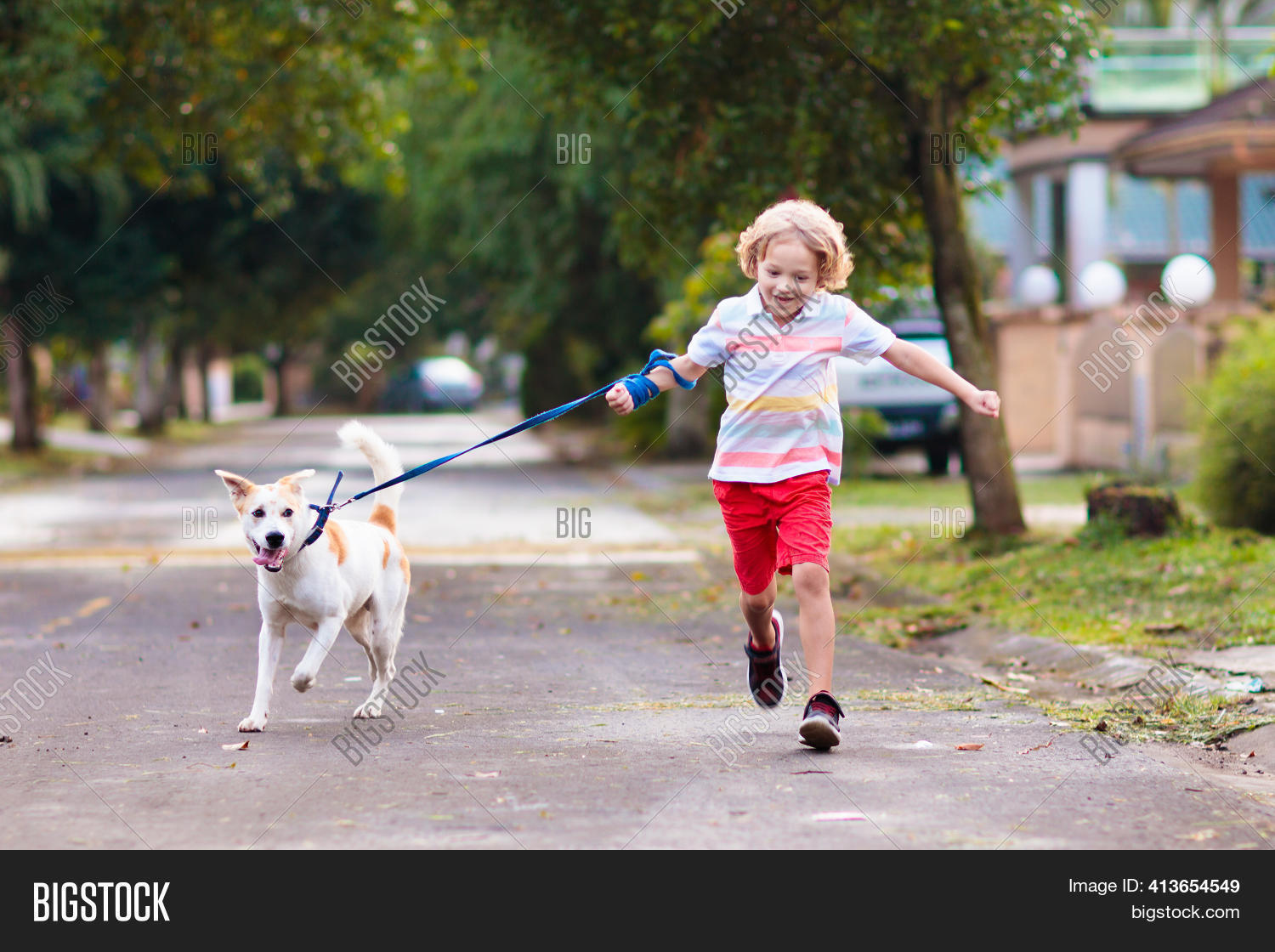 Child Walking Dog. Kid Image & Photo (Free Trial) | Bigstock