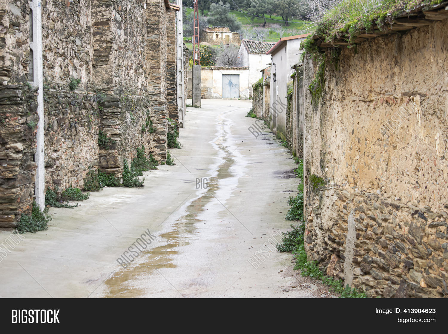 Rural Street Between Image & Photo (Free Trial) | Bigstock