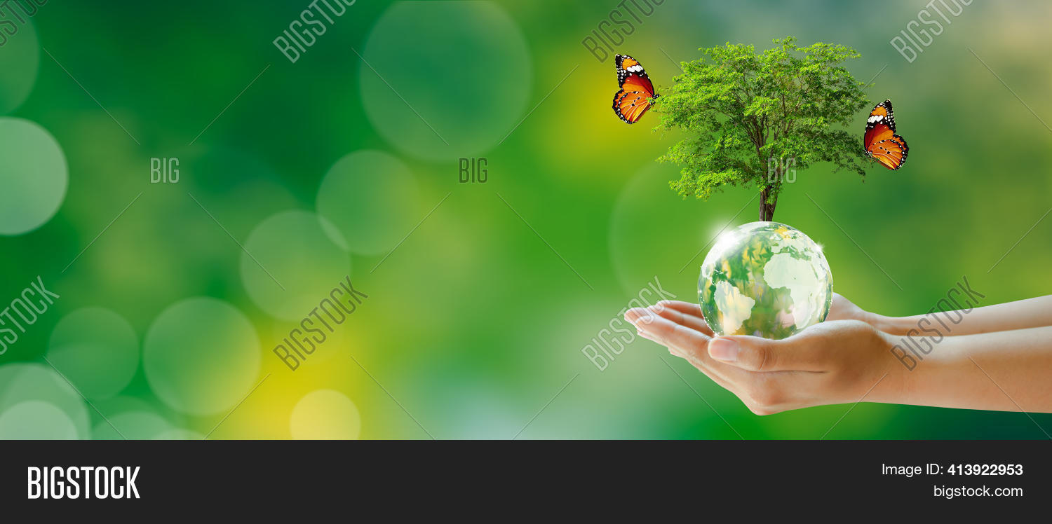 Growing Tree On Globe Image & Photo (Free Trial) | Bigstock